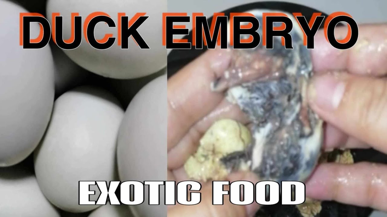 🔴ASMR Balut Duck Embryo EXOTIC DELICACY ep.25 - YouTube
