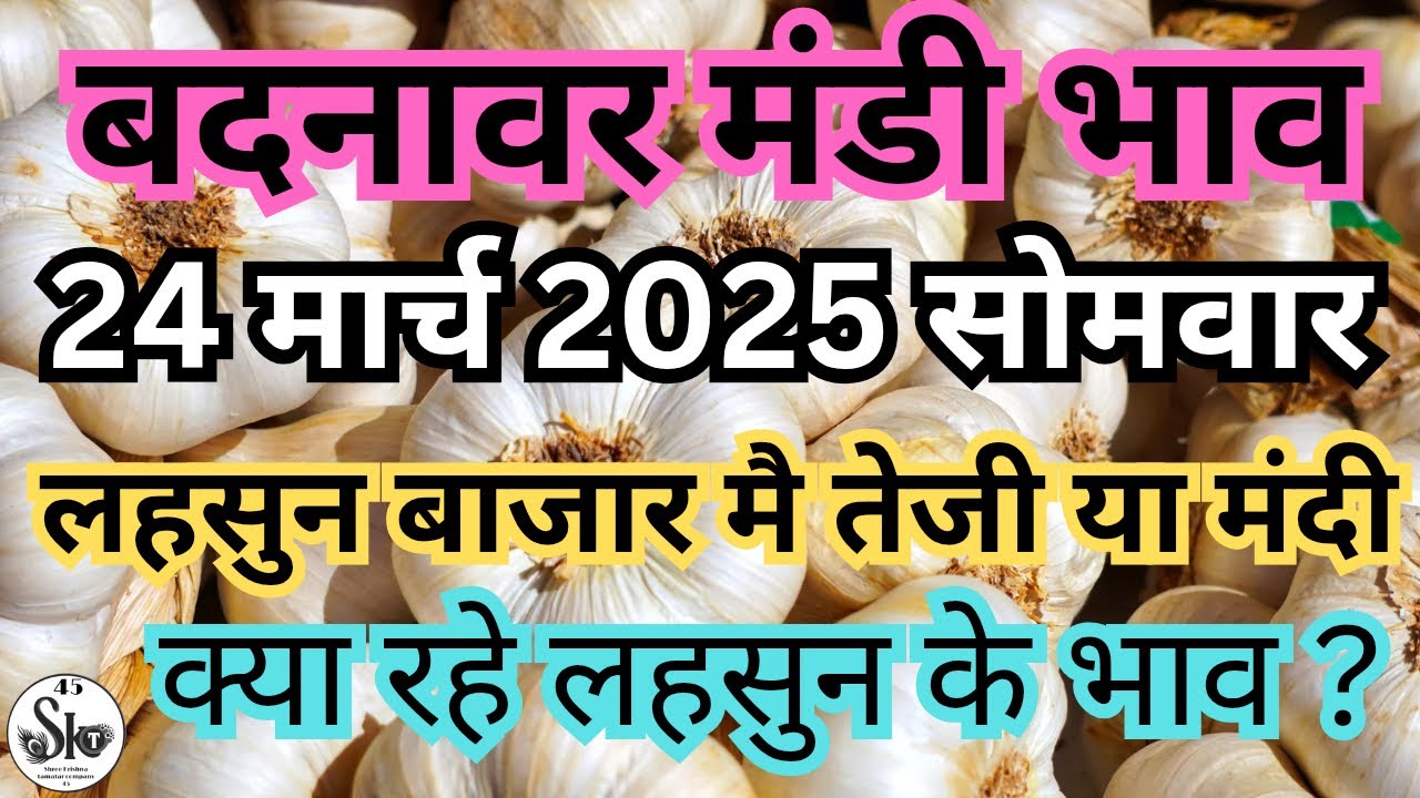 24 मार्च 2025 बदनावर मंडी भाव | नई लहसुन भाव | Garlic rate badnawar ...