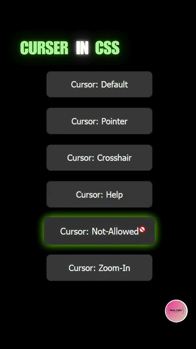 From Basics To Pro Best Css Courses Coding Cssanimation Webdevelopment Programming Youtube