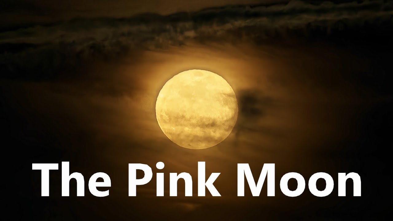 The Pink Moon - YouTube