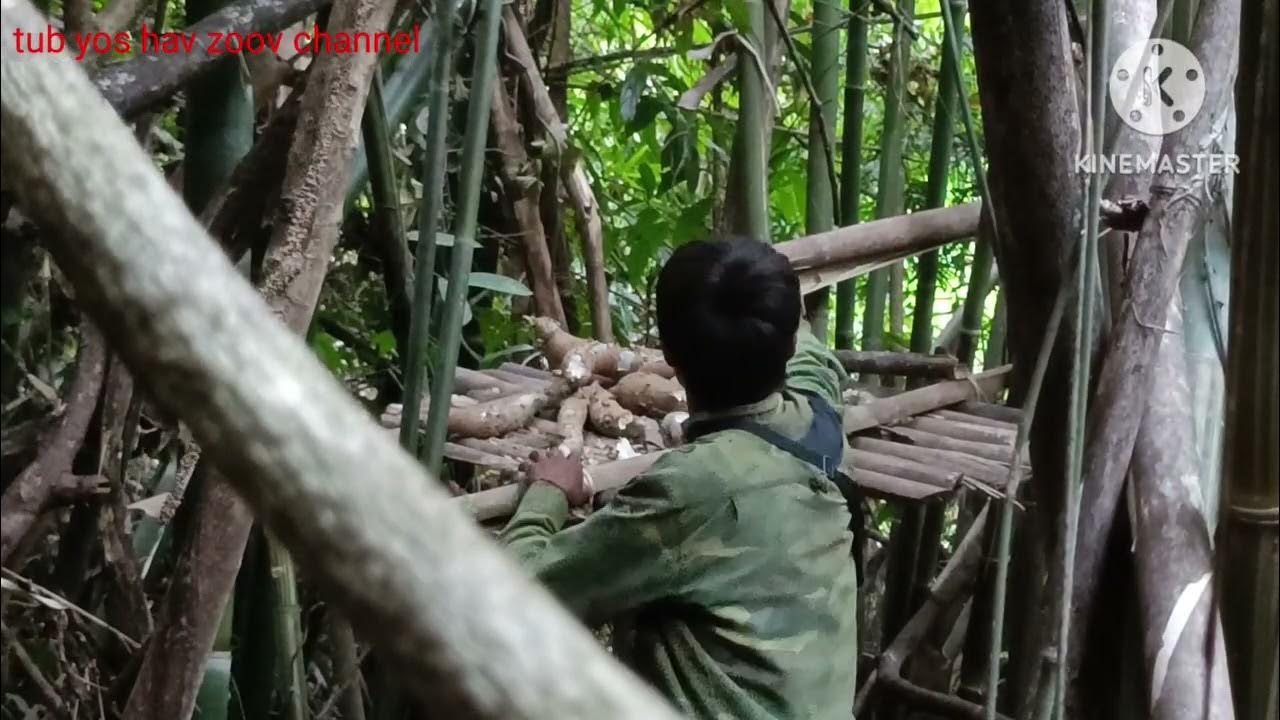 mus yos hav zoov - YouTube