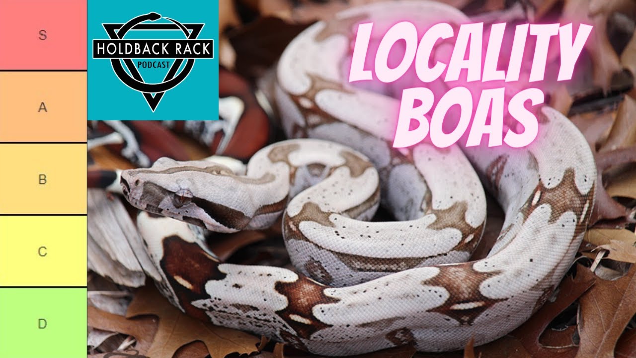 HRP 65 - Locality Boa Tier Ranking with Chris Shelly from B and S ...