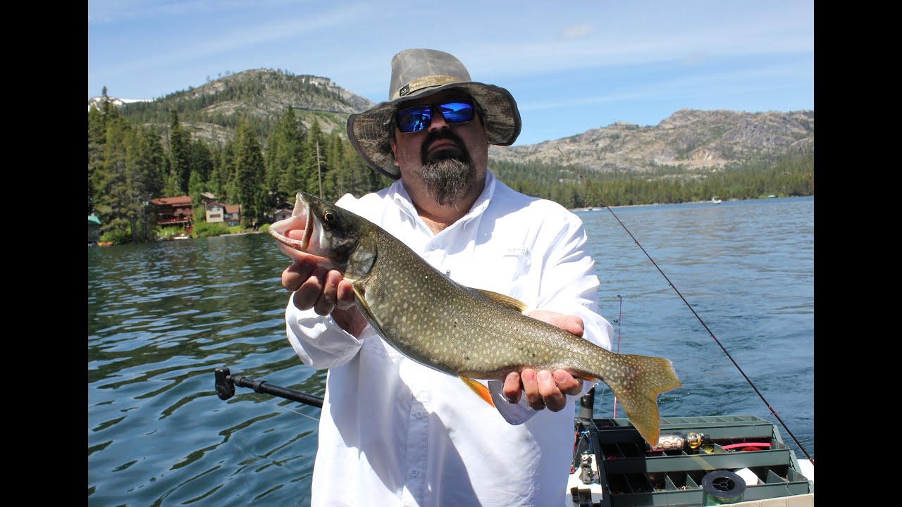 Donner Lake Mackinaw (kokanee and trout too) - YouTube