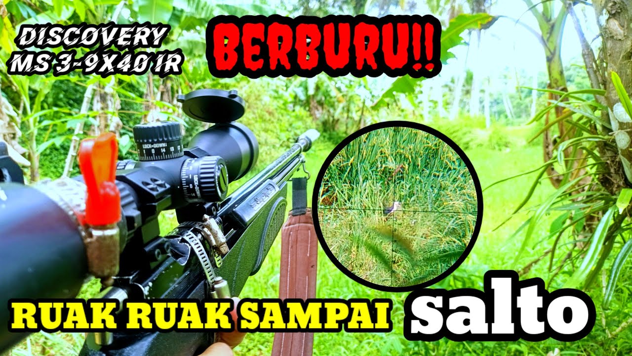 UKLIK TIGER MEMBARA‼️BERBURU RUAK" & TEKUKUR DENGAN TELESKOP DISCOVERY ...