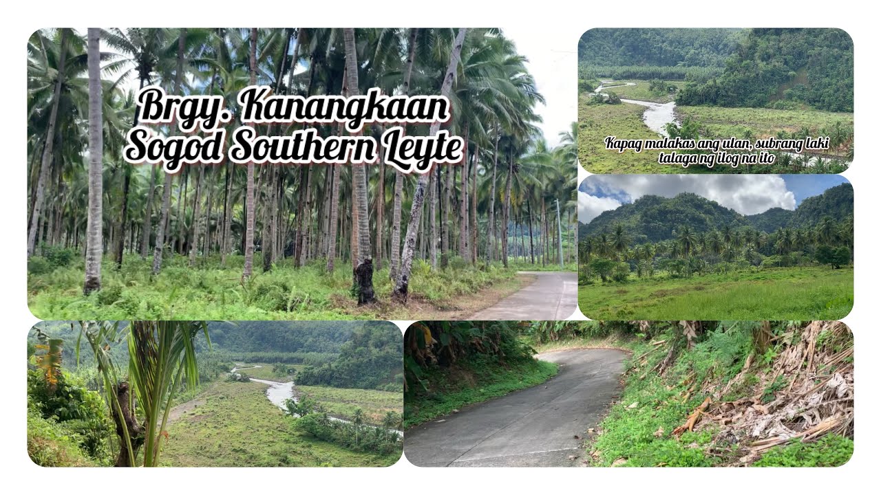 Ano-Ano Ang Iyong Makikita sa Mga Daan sa Probinsya #buhayprobinsya # ...