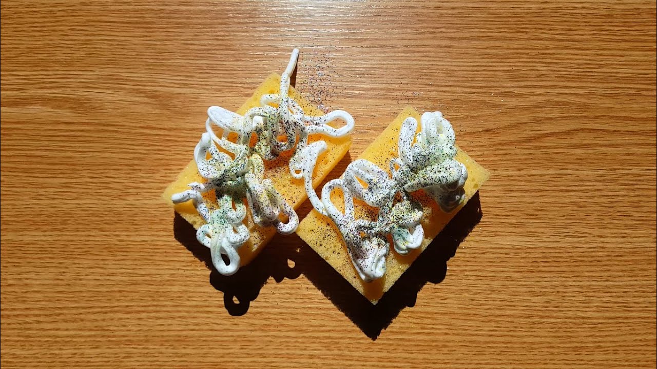 Sponges with shaving foam rubbing & ripping + DRY rubbing & squeezing ...