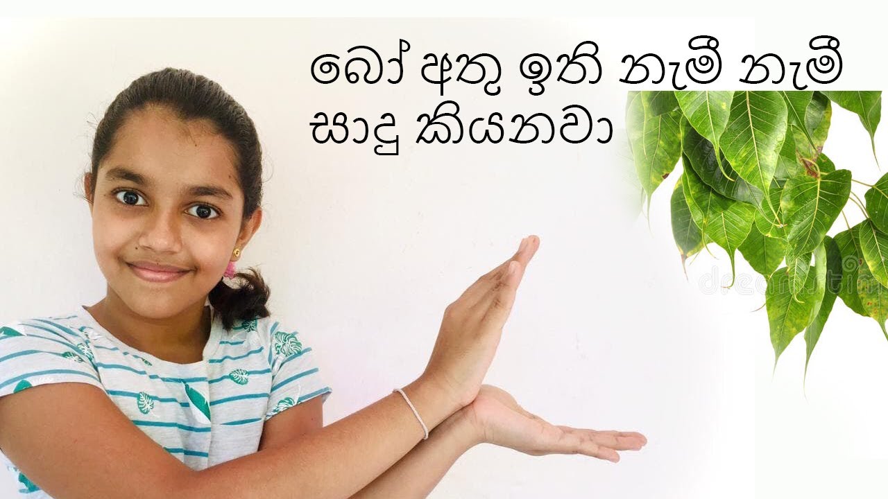 බෝ අතු ඉති නැමී නැමී සාදු කියනවා | Bo athu ithi nami nami sadu kiyanawa ...