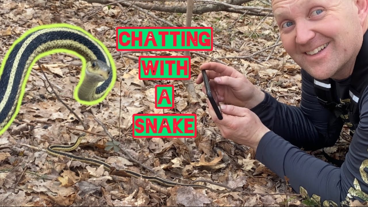 HAVING A CHAT WITH A SNAKE!! @itsgotime - YouTube