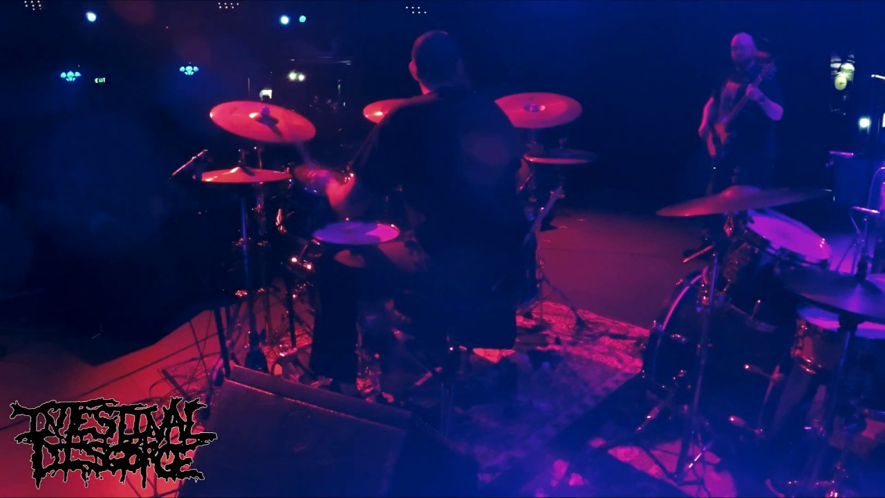 Intestinal Disgorge - Live at The Warfield in San Francisco, CA - 02/08 ...