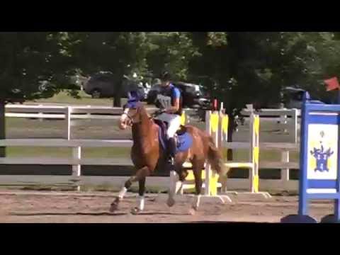 Beginner Novice Stadium Jumping USEA - YouTube