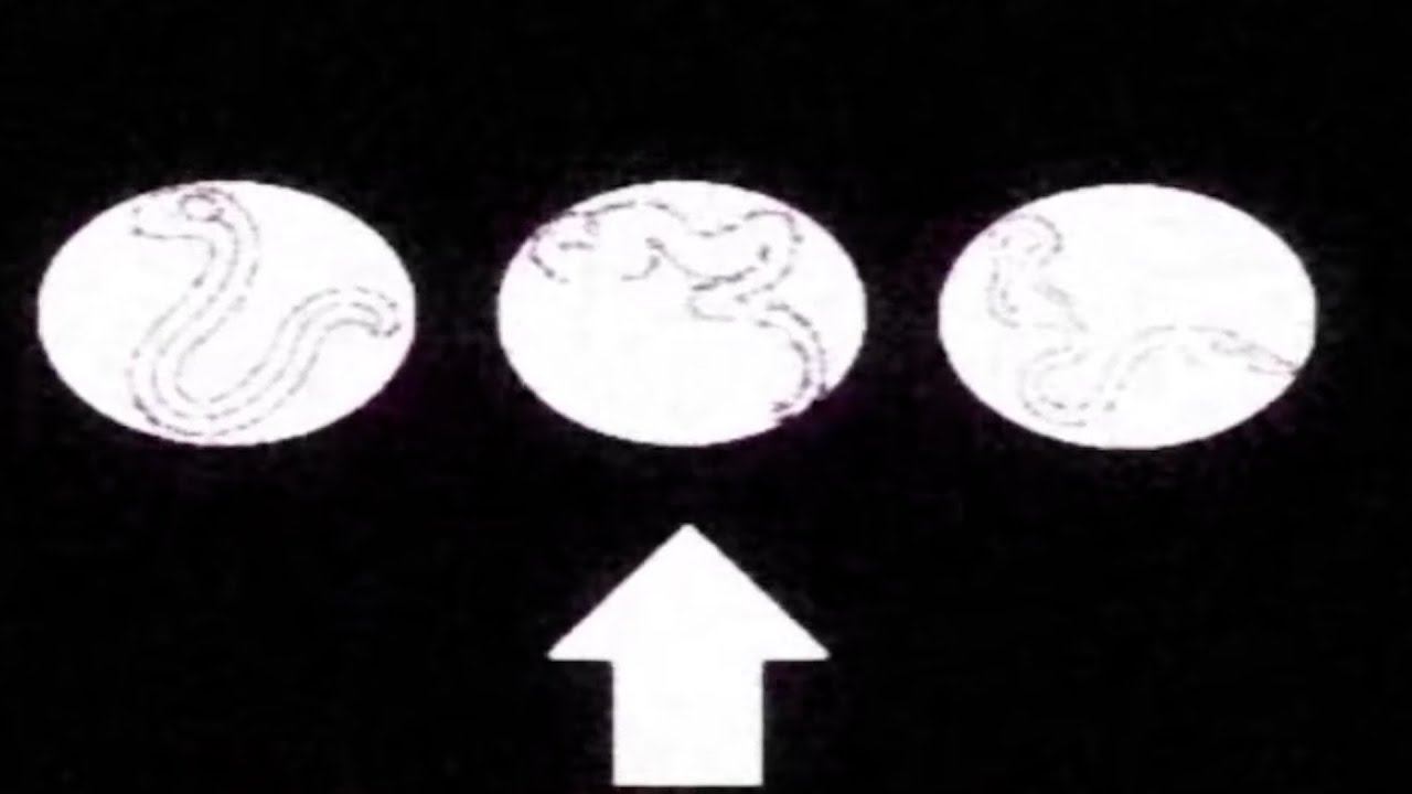 This is how it all began!? | Monument Mythos Season 3 - YouTube