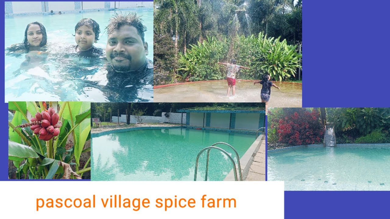 pascoal village and spice farm#travel #trending#goalife #malayalam # ...