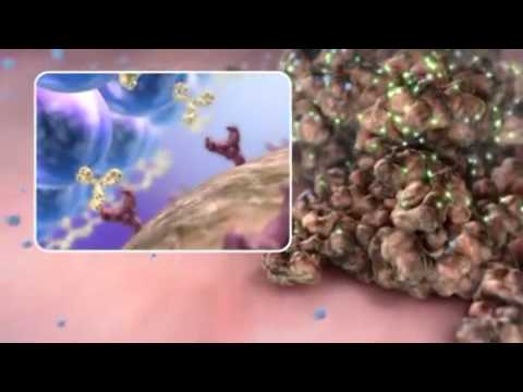 Nanotechnology Animation.flv - YouTube