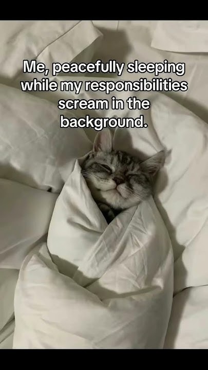 If I ignore them long enough, maybe they’ll go away. 🤞😂 #relatable #fyp ...