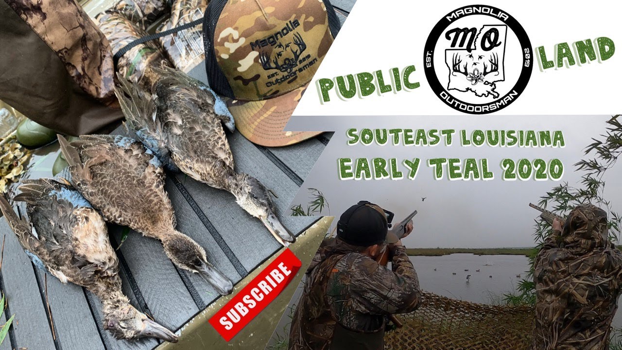 Early Season Teal Hunt 2020 on Southeast Louisiana Public Land ...