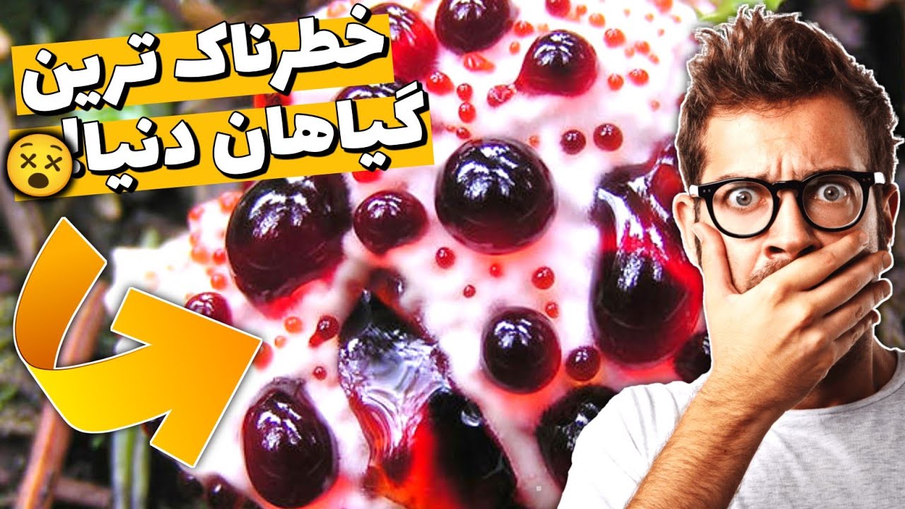 خطرناک ترین گیاه جهان گیاهان کشنده و سمی 🌿🤯 Youtube