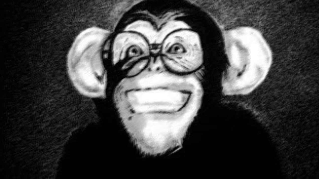 Monkey Dude - YouTube