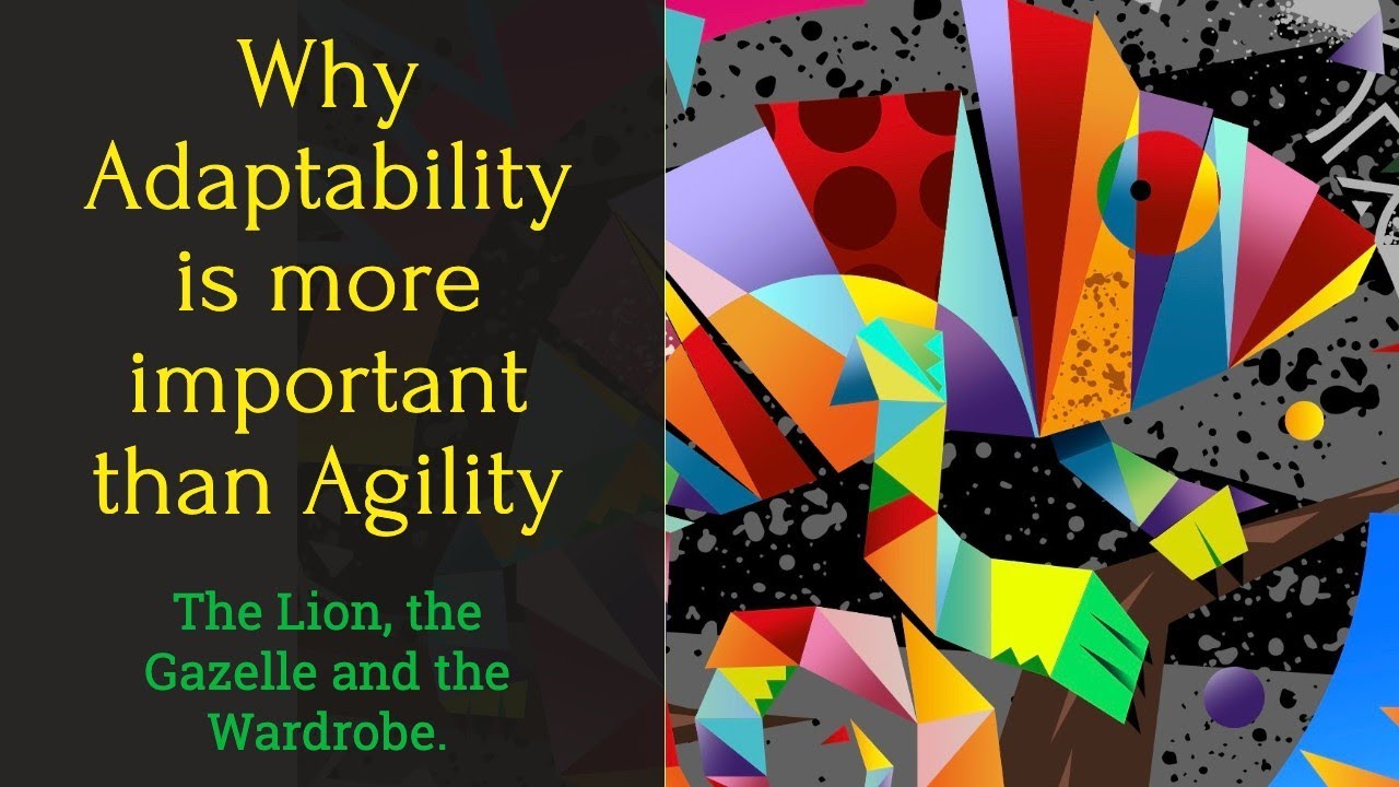 The Difference Between Agility and Adaptability and Why it Matters ...