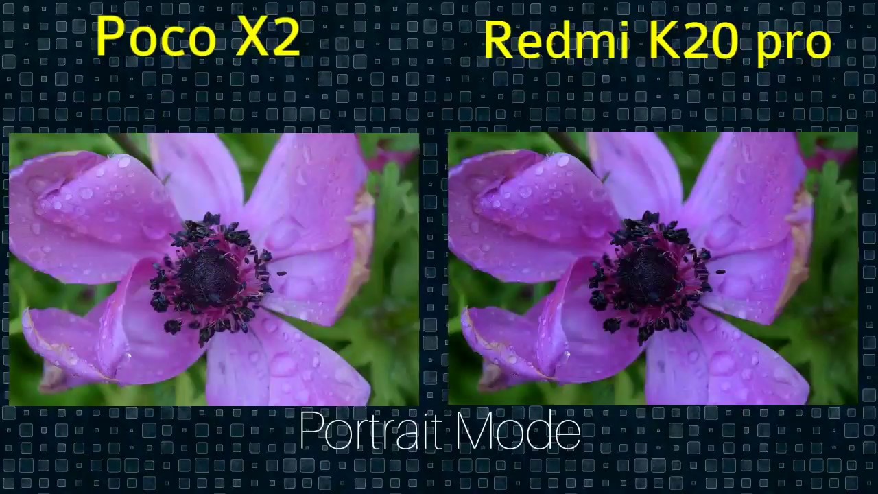Poco X2 vs Redmi K20 Pro Camera Comparison - YouTube