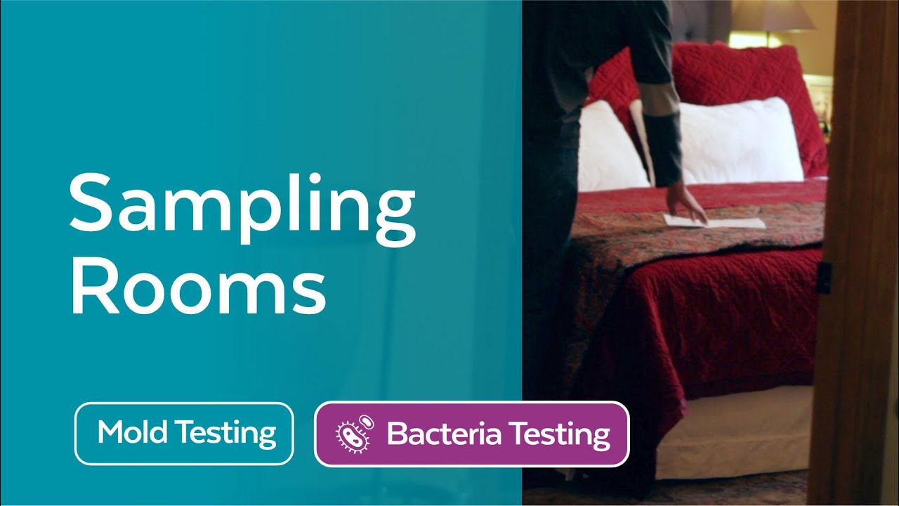 Sampling Rooms (Mold Check Up with Bacteria) - YouTube
