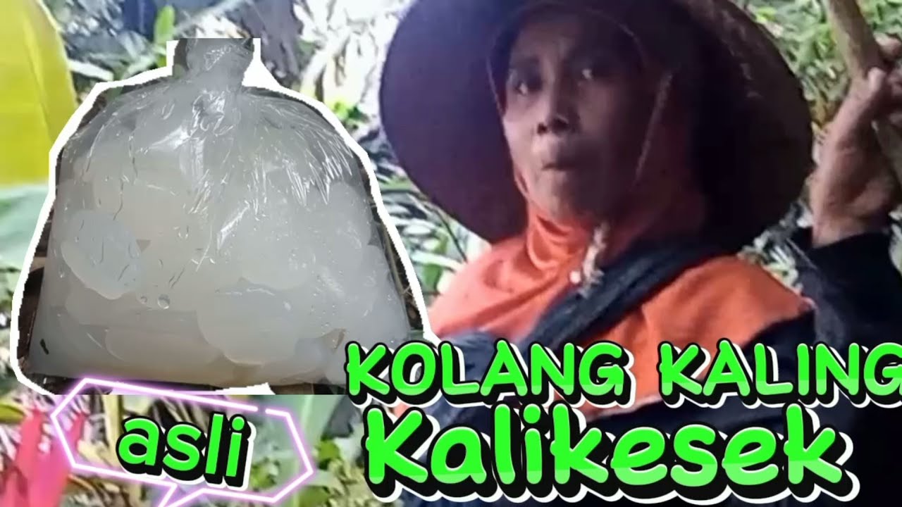 Kolang Kaling Kalikesek,Limbangan - YouTube