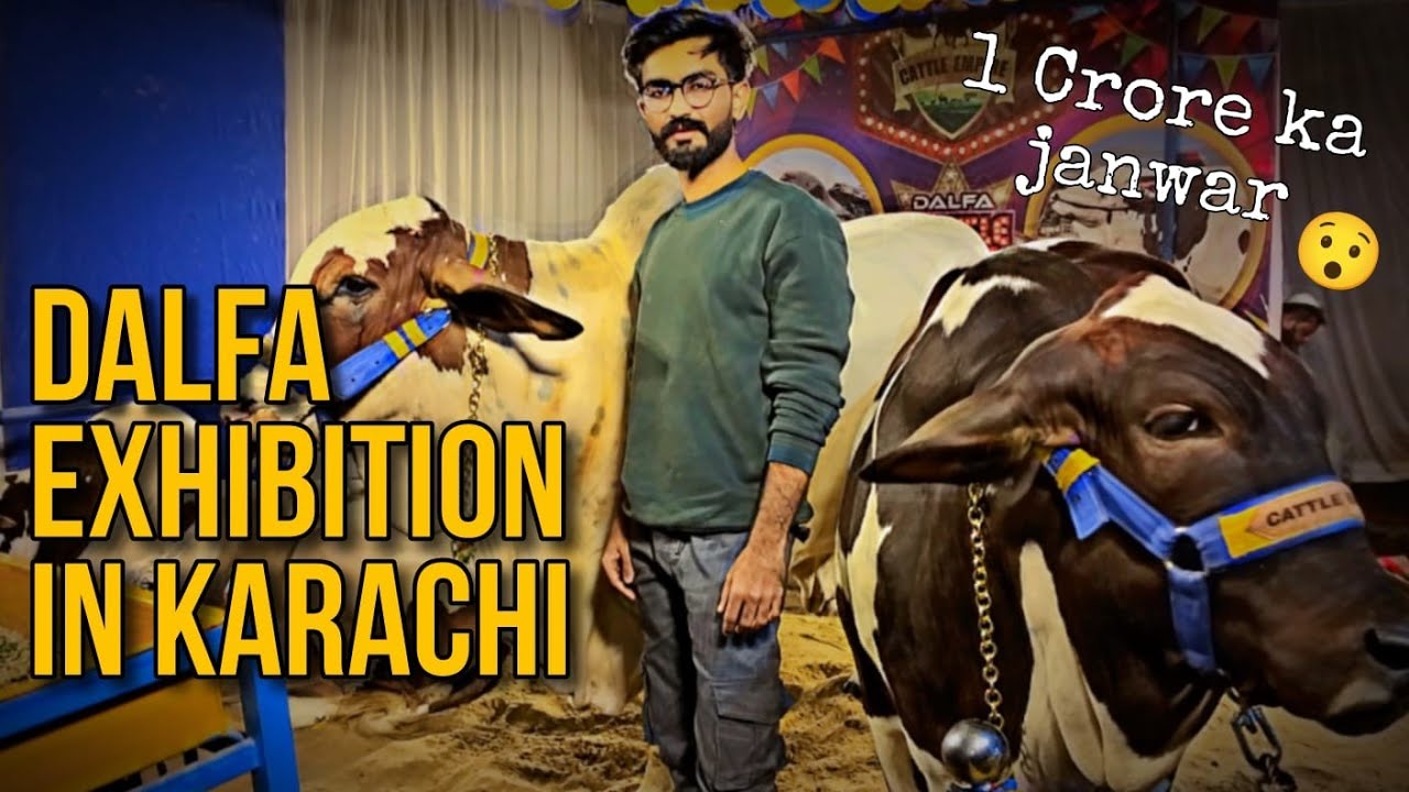 Dalfa Cattle Show | 1 Crore ka Janwar | Janwar hen ya hathi😱 | Mr babu ...