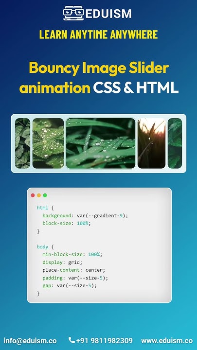 Bouncy Image Slider Animation Css And Html Css Coding Html Programminglanguage Javascript