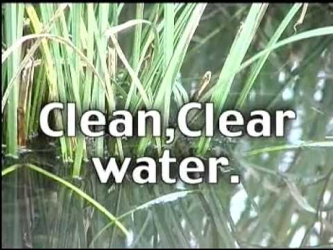 Glendon BioFilter Video - Simply The Best Septic System Available - YouTube