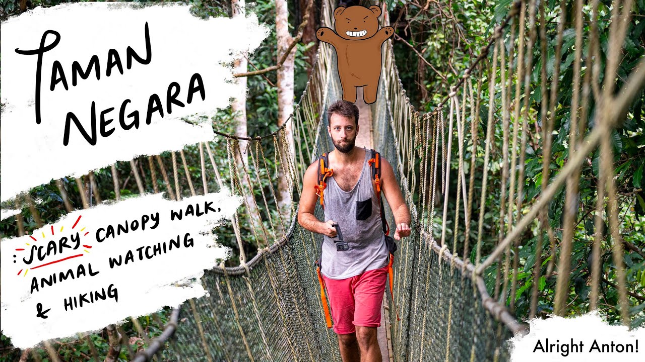 TAMAN NEGARA: Scary Canopy Walk, Indah Hill, Animal Watching! - YouTube