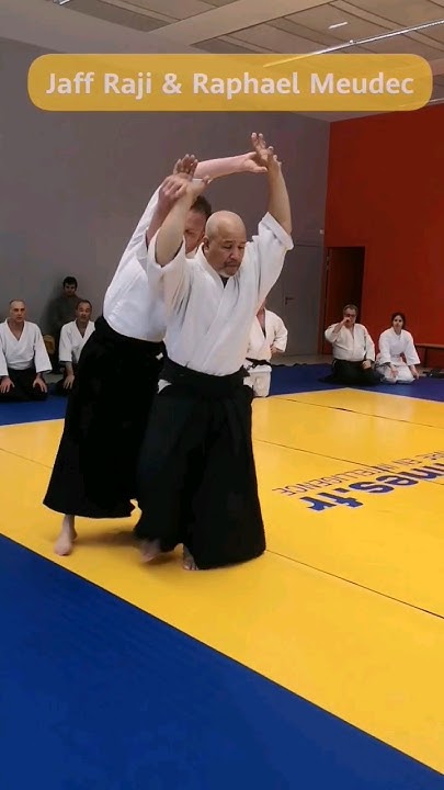 AIKIDO JIYU WAZA - Master Jaff Raji 2024 - EBR KANGEIKO RENNES - YouTube