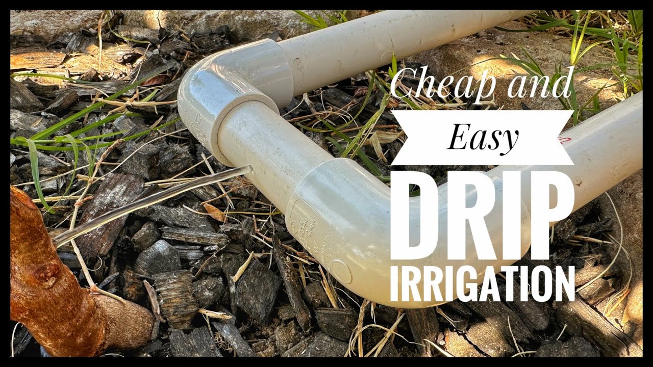 Cheap and Easy DIY Drip Irrigation with PVC Pipes for your Garden - YouTube