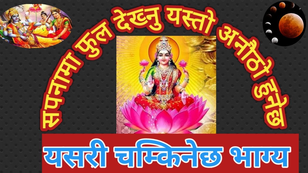 सपनामा फुल देख्नु भयो? यस्तो अनौठो रहस्य हुनेछ Sapanama Phul Dekhnu ...