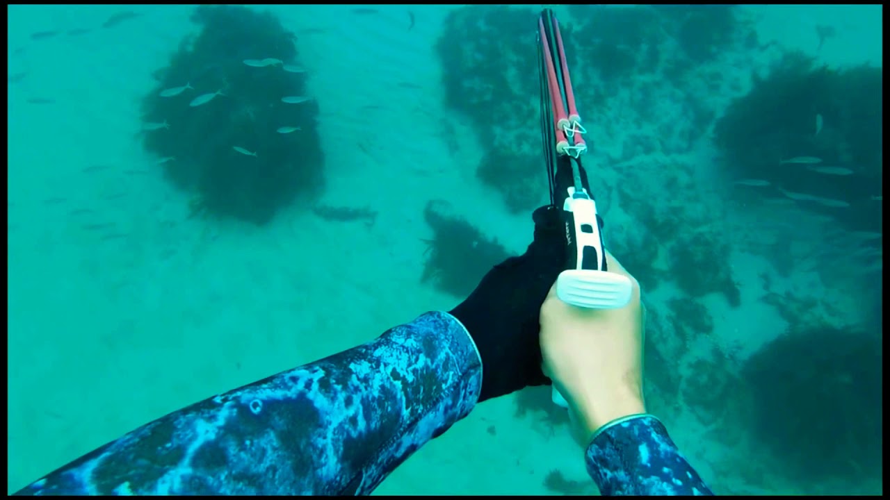 Spearfishing Kirra reef (Gold Coast) - YouTube