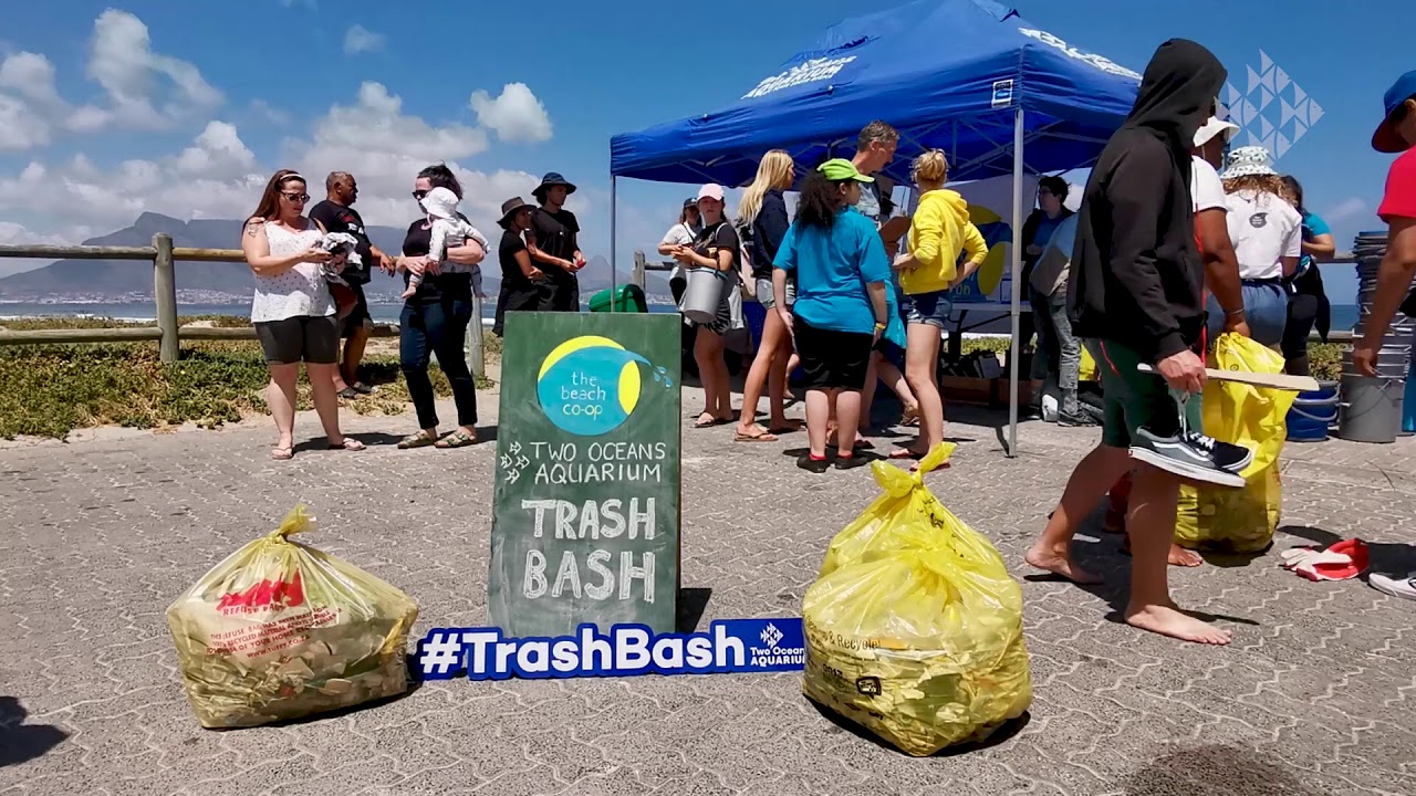 Why do we Trash Bash? Taking action against marine debris at the year's ...