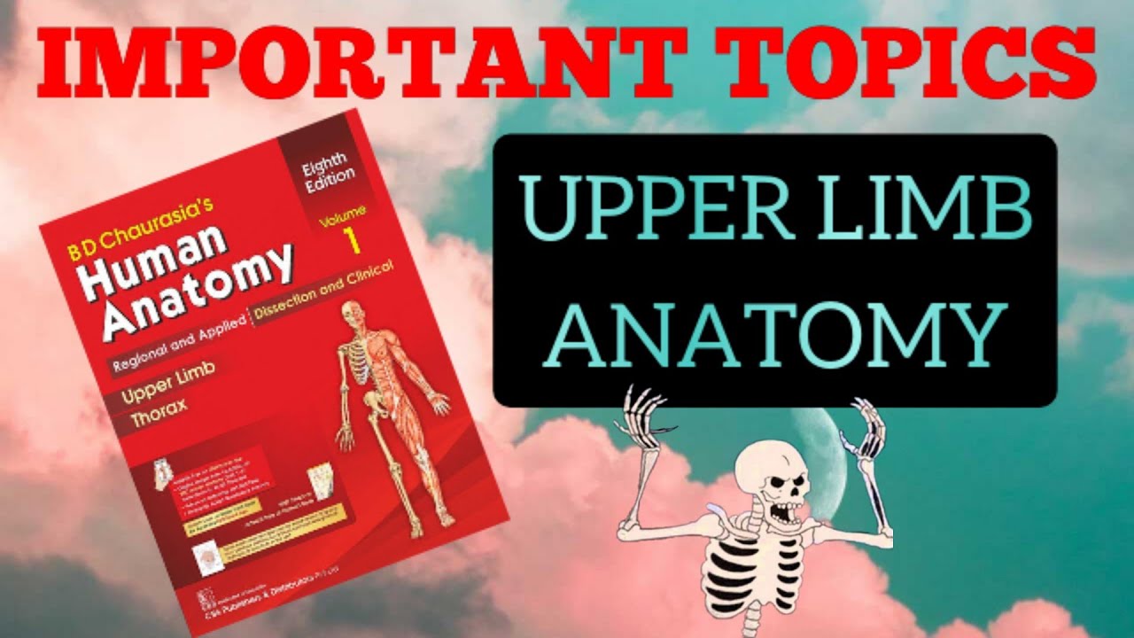 Important Topics Upper Limb Anatomy YouTube Important Topics Upper Limb Anatomy YouTube