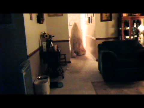 boom boom ghost - YouTube