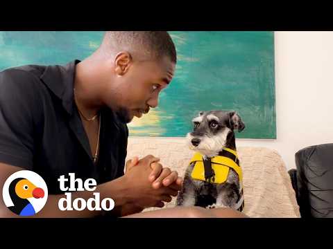 Papa bespricht alle Lebensprobleme mit seinem Hund... Wie es sich gehört | The Dodo
