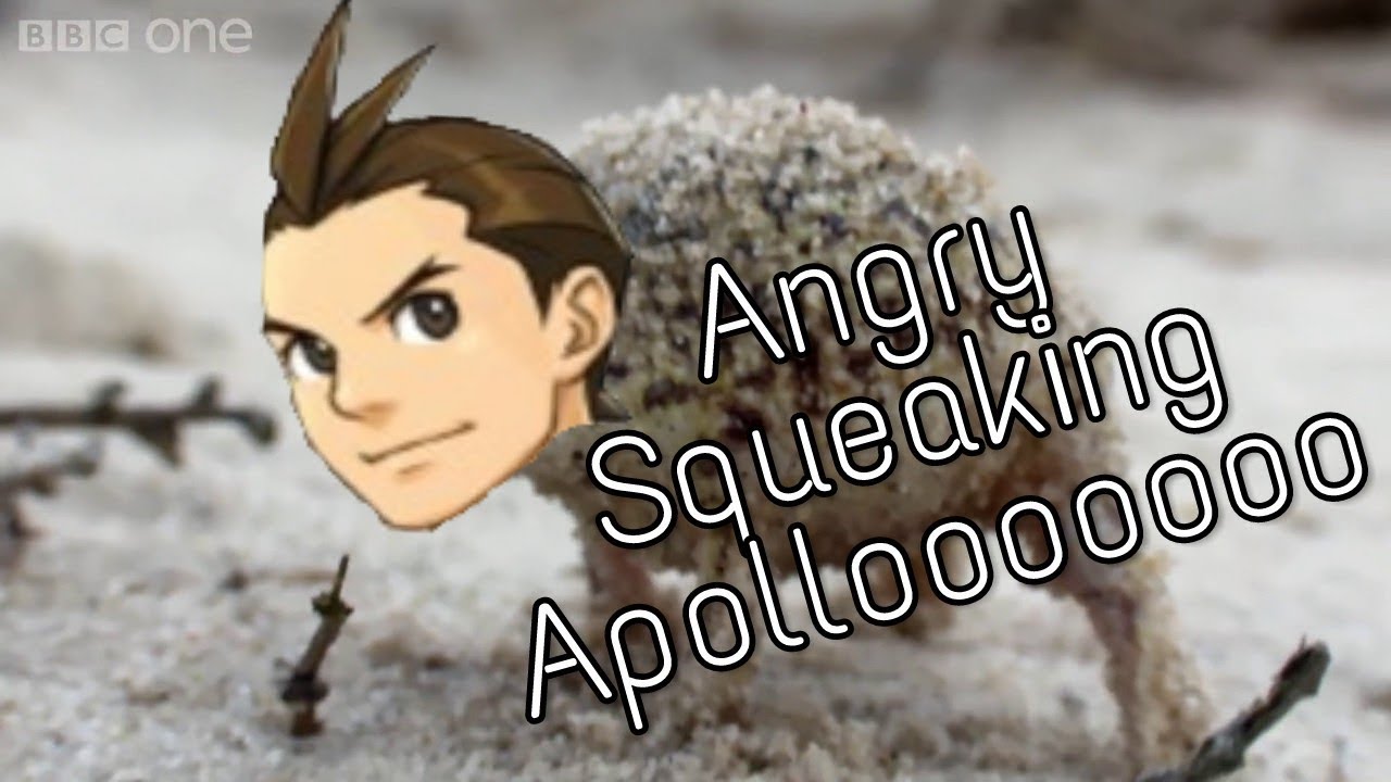 Angry Squeaking Apollo - YouTube