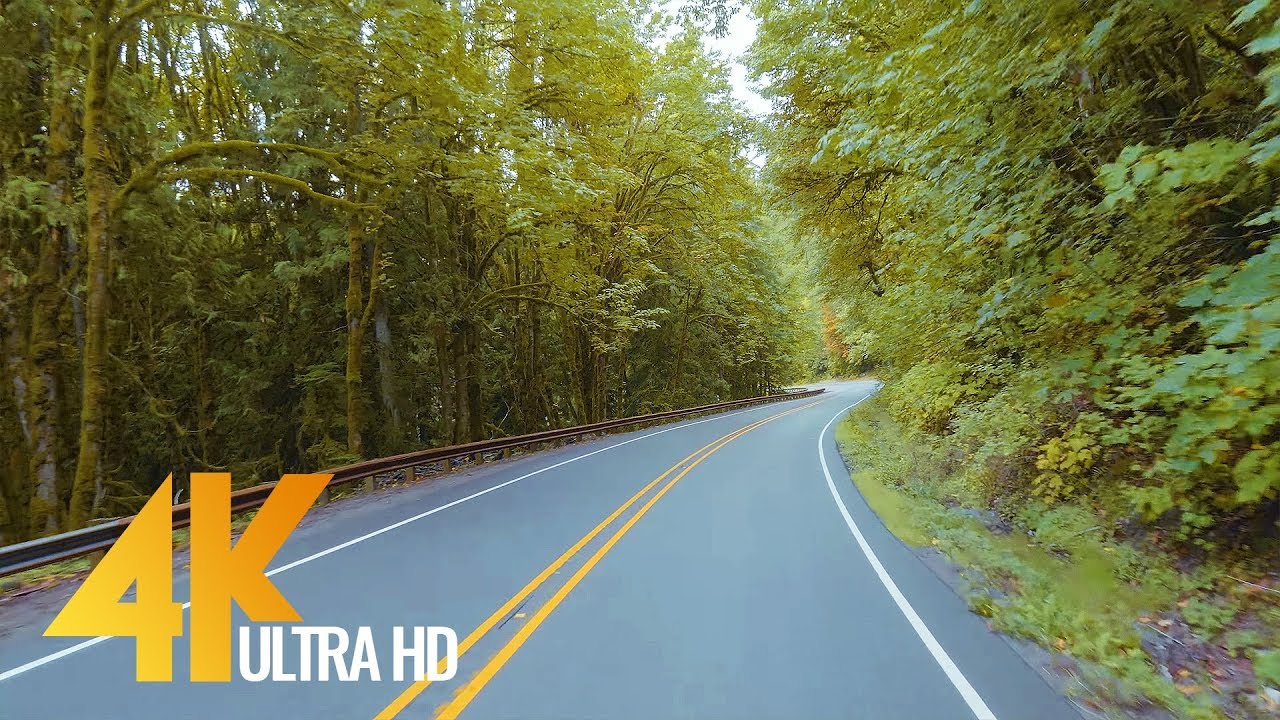 4K Scenic Forest Drive - Road to Artist Point, WA - 6 HRS (WITH MUSIC ...