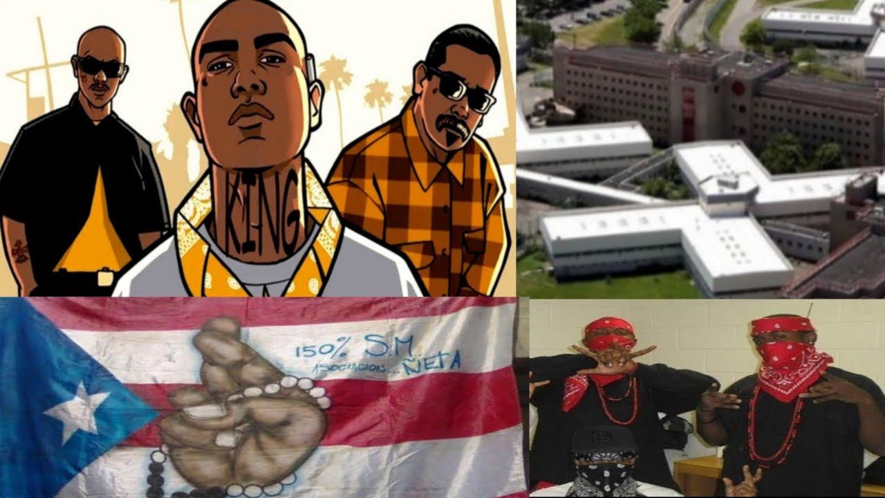 Rikers Island Latin Kings, Netas, Bloods Gang In New York City Jail ...