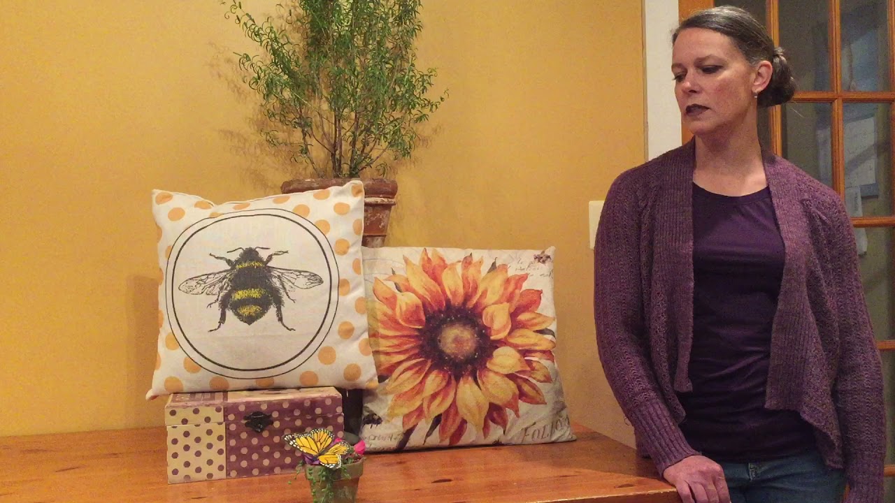 Help Save the Pollinators - YouTube