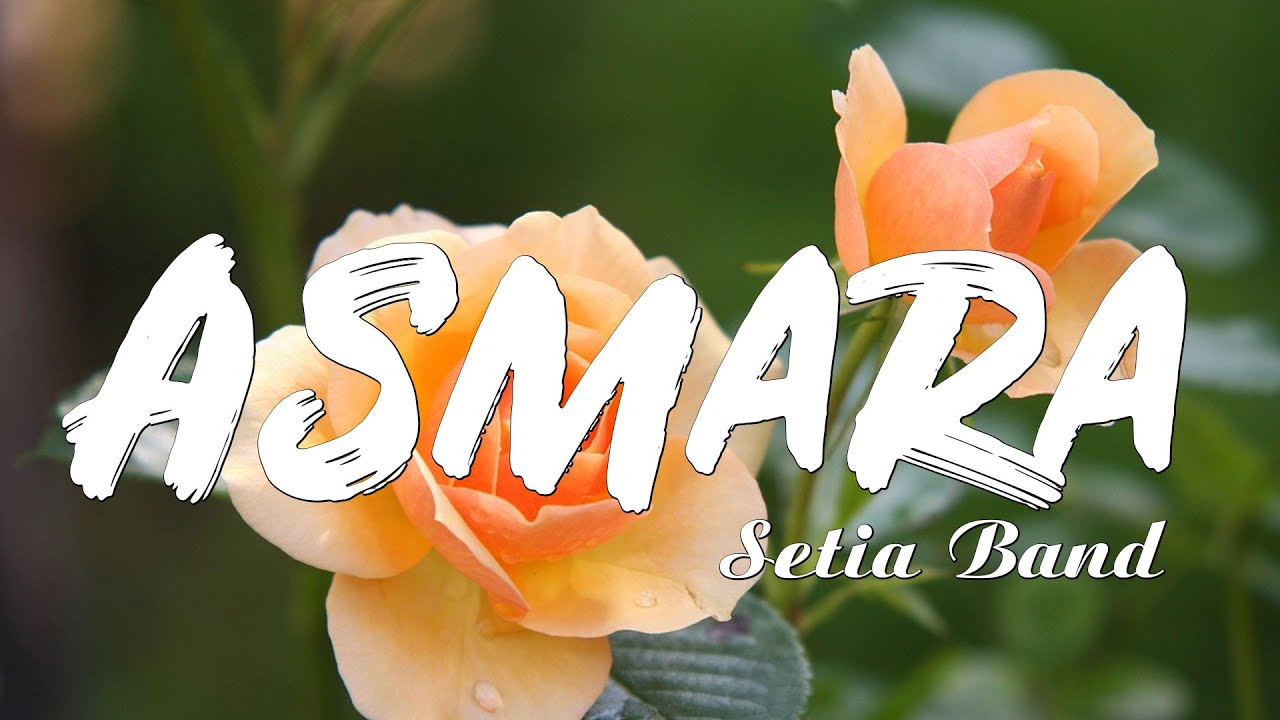 ASMARA | SETIA BAND | lirik video - YouTube