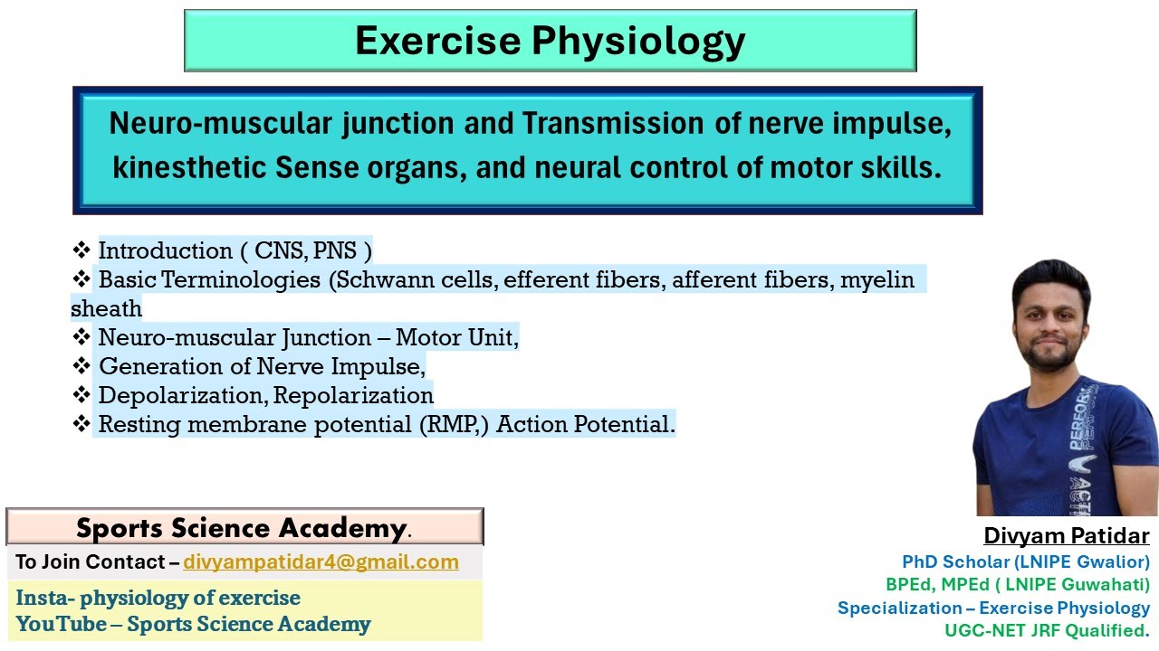 Neuro-muscular junction and transmission of nerve impulse | Action ...