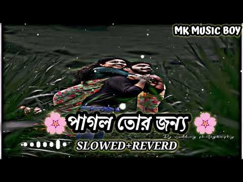 Pagol Tor Jonno | পাগল তোর জন্য | (Slowed+Reverb) Bangla Song | Lofi Song - YouTube