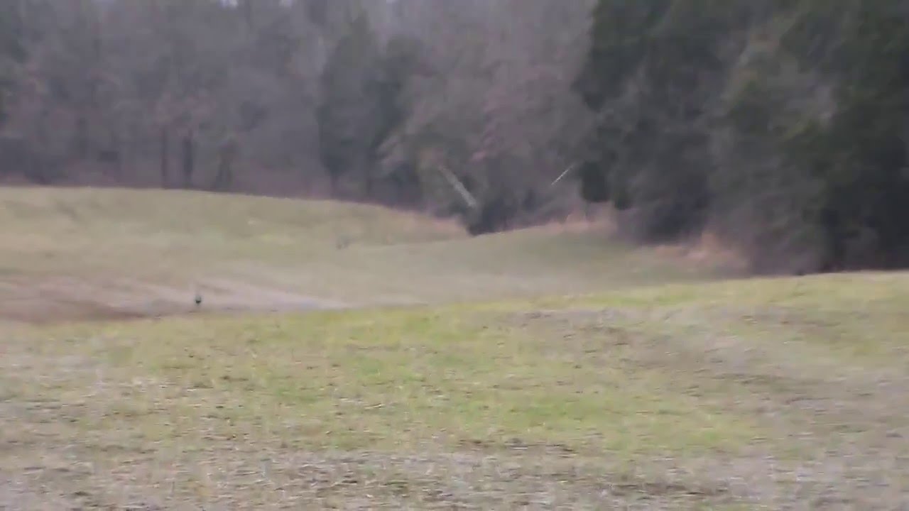 999 Hunts; Fort Knox, KY Farm - YouTube