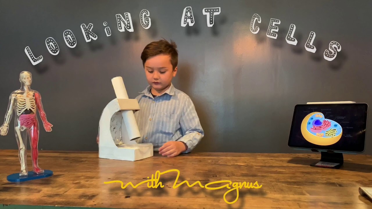 Looking at Cells - YouTube