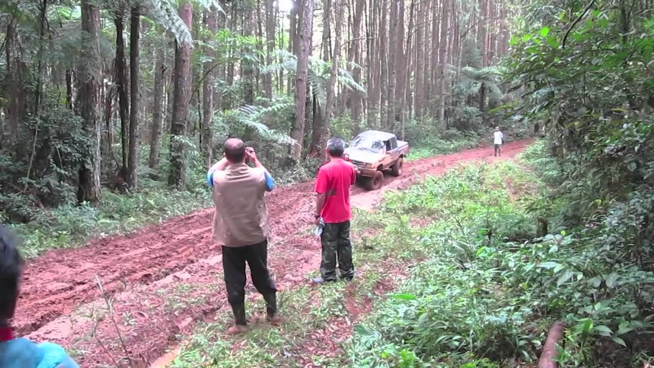 Xxiv Perdidos Na Mata Youtube