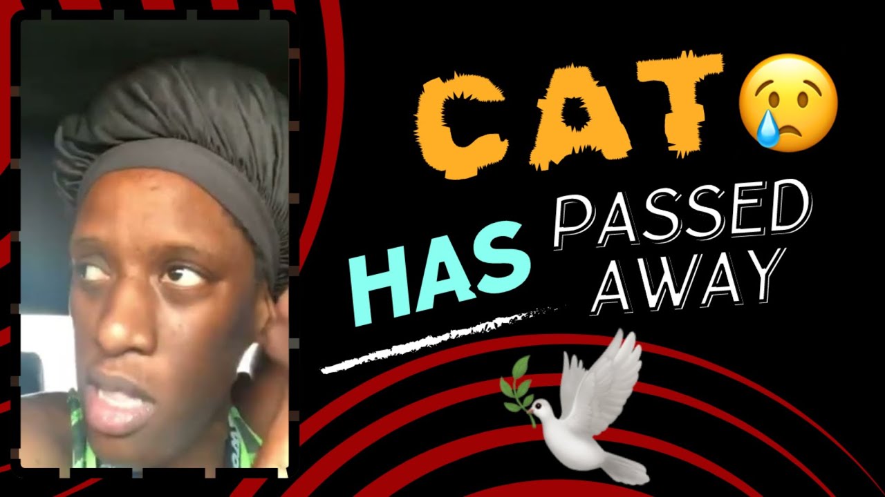 Catreisa Cat Johnson” Has Passed Away 🕊️💔 - YouTube