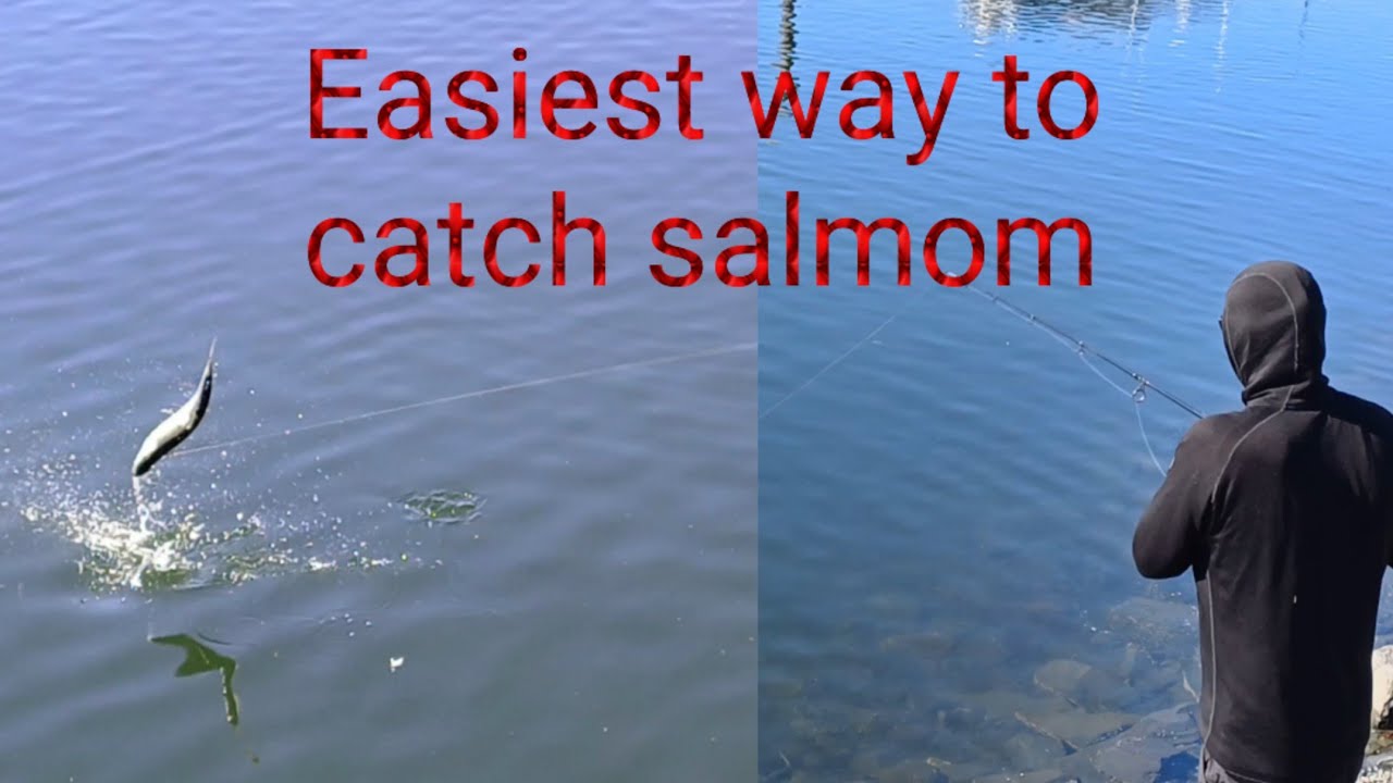 Sitka Alaska USA 🇺🇸 Final part | This is how people catch fish 🐟 in ...