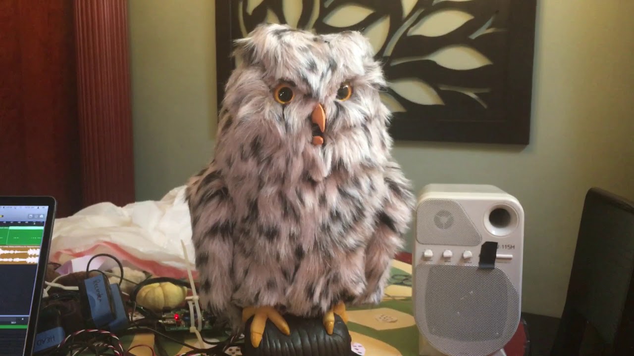 Animatronic owl performs Hedwig’s Theme - YouTube